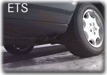 Electronic Traction System